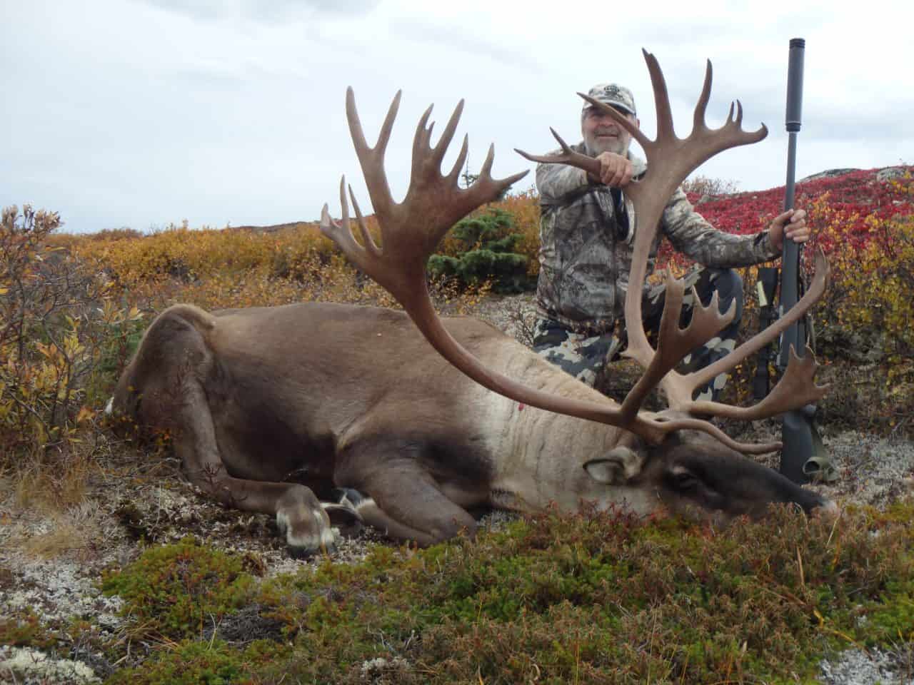 Caribou Photos | Alaska Brown Bear Hunts - Litzen Guide Service