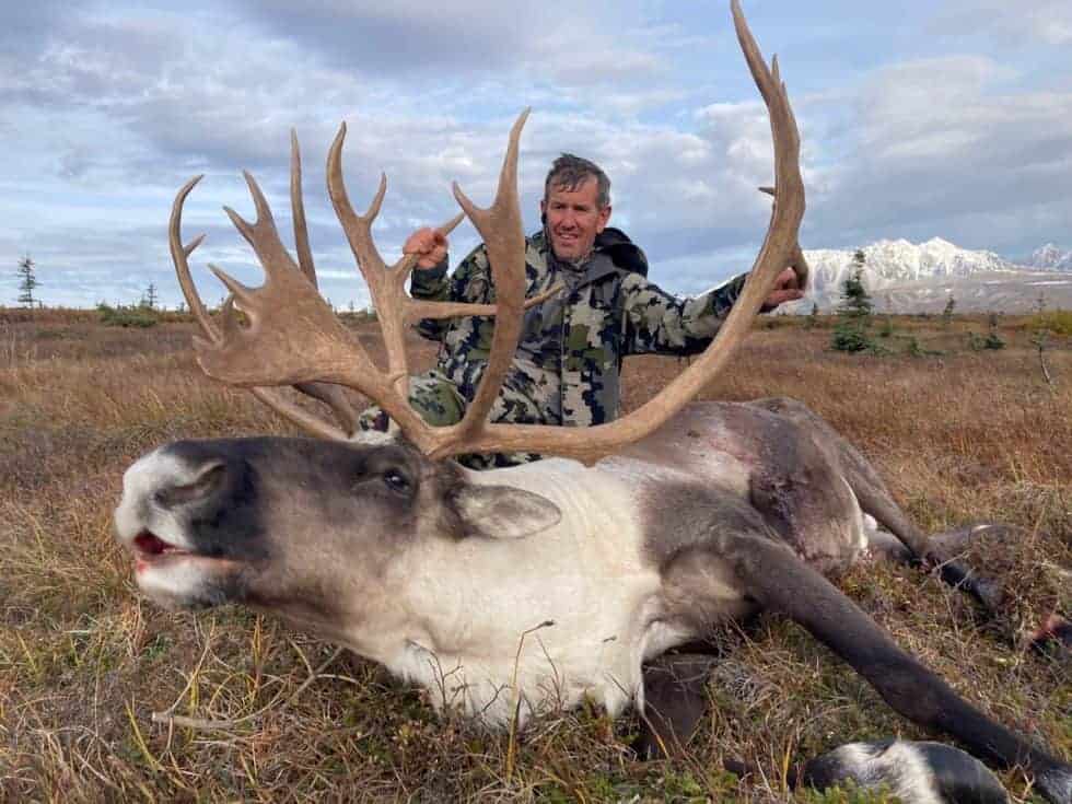 Caribou | Alaska Brown Bear Hunts - Litzen Guide Service