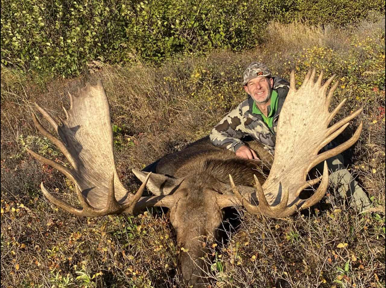 Moose | Alaska Brown Bear Hunts - Litzen Guide Service