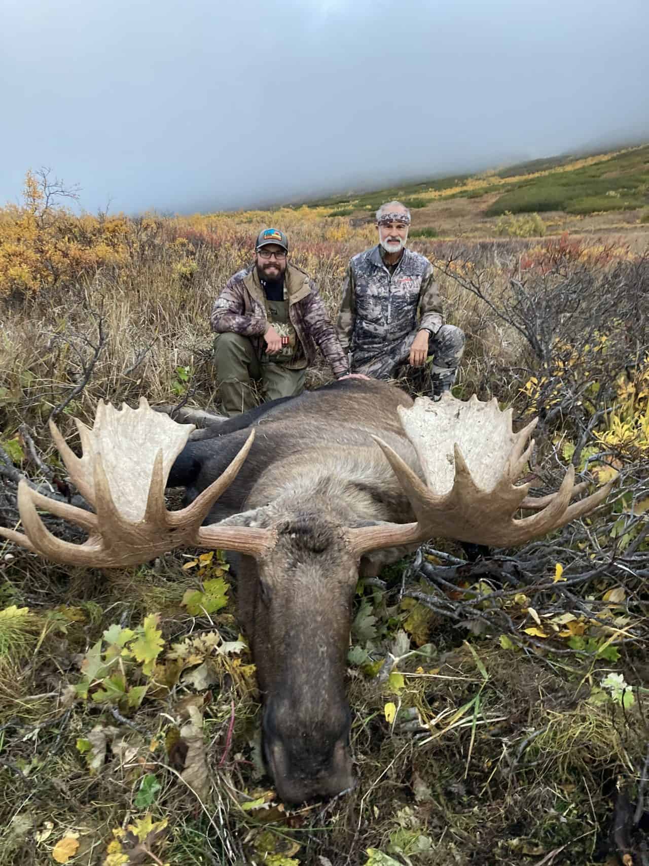 Moose | Alaska Brown Bear Hunts - Litzen Guide Service