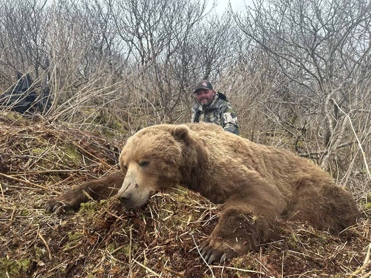 Brown Bear | Alaska Brown Bear Hunts - Litzen Guide Service
