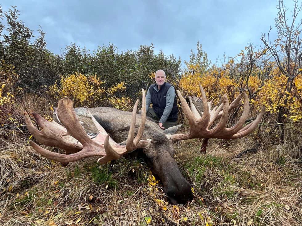 Moose | Alaska Brown Bear Hunts - Litzen Guide Service