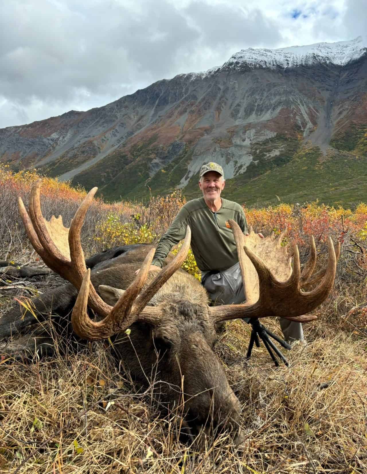Moose | Alaska Brown Bear Hunts - Litzen Guide Service