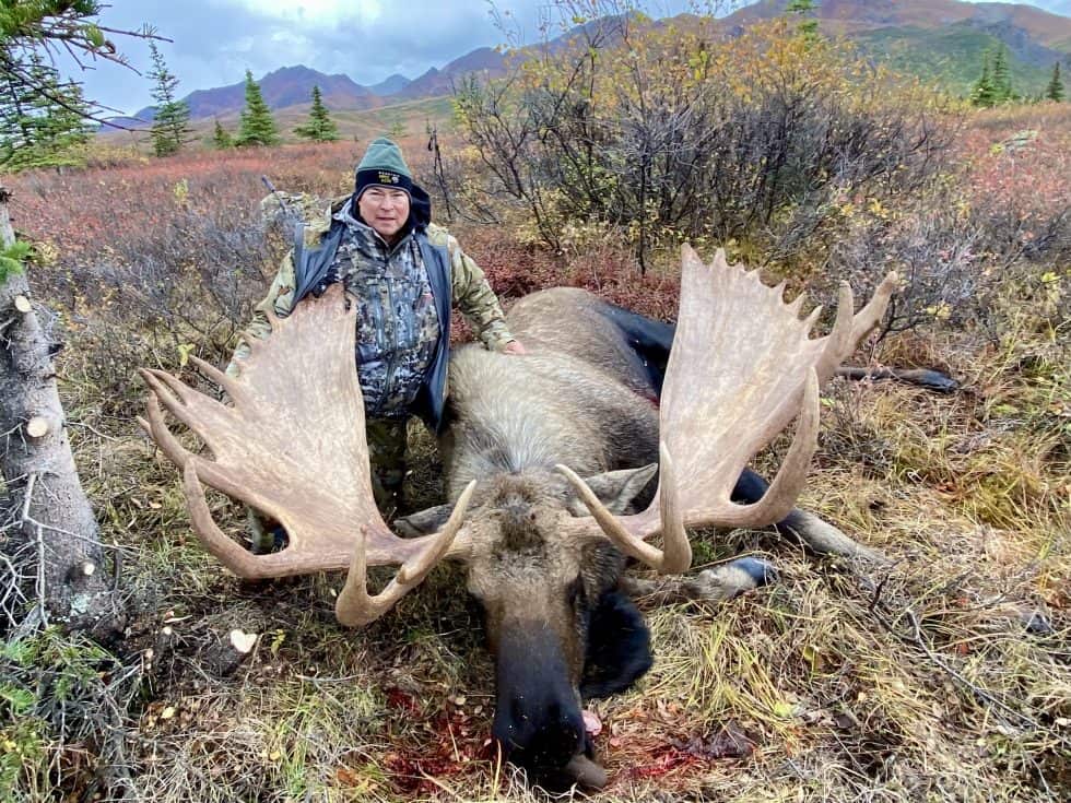 Moose | Alaska Brown Bear Hunts - Litzen Guide Service